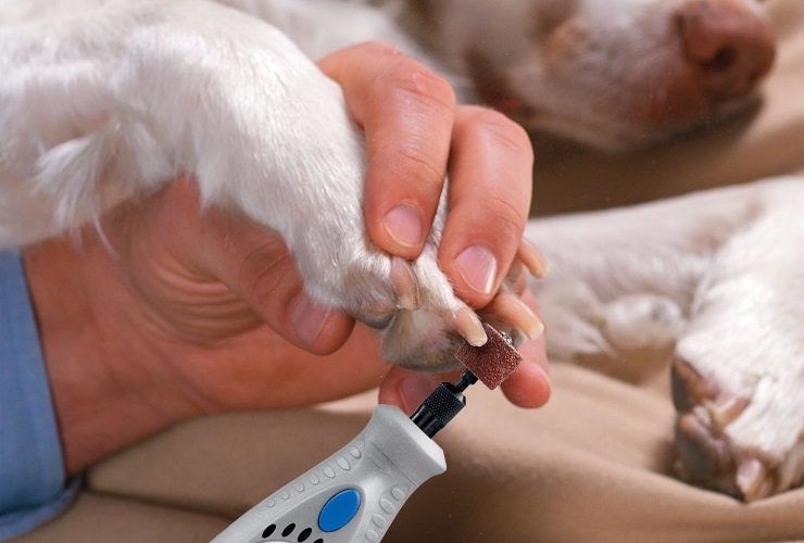 30 Easy DIY Projects That You Can Do with A Rotary Tool